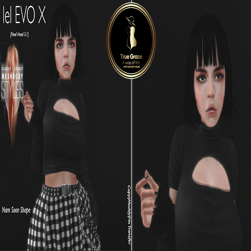 Second Life Marketplace - Nam Soon Shape